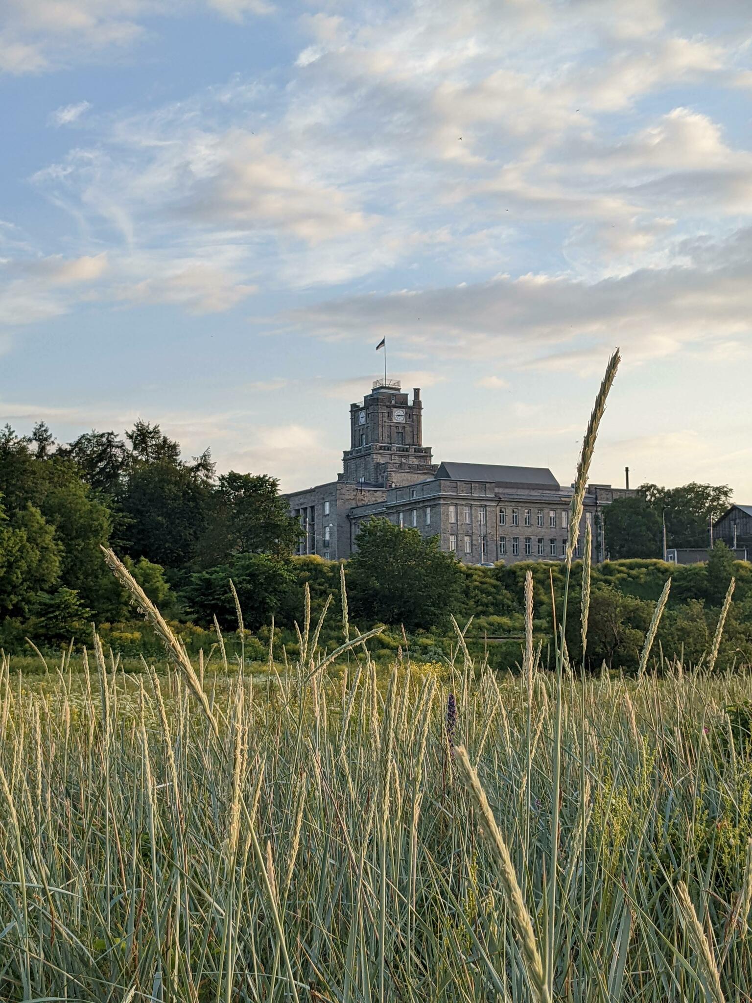 Hikes in Kopli with a local